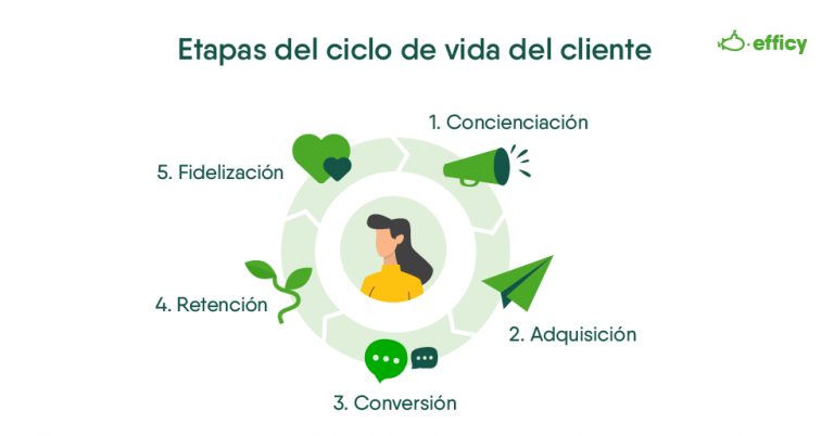 Gestión del ciclo de vida del cliente [Guía 2024] | efficy