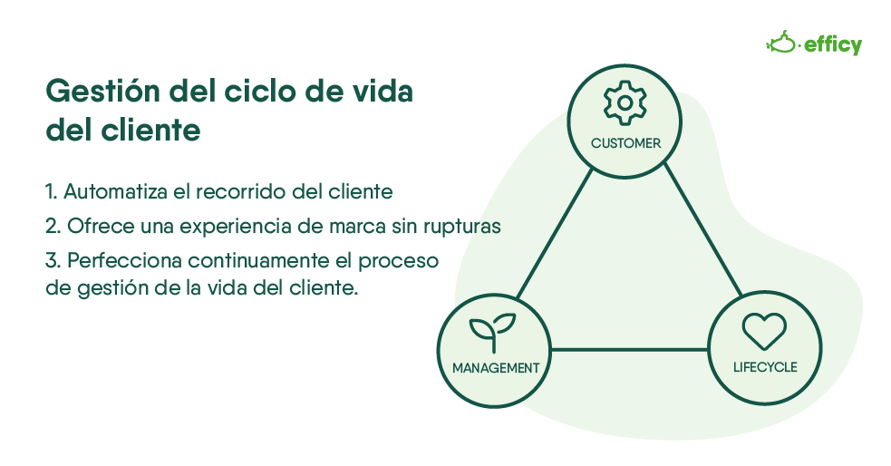Gestión del ciclo de vida del cliente [Guía 2024] | efficy